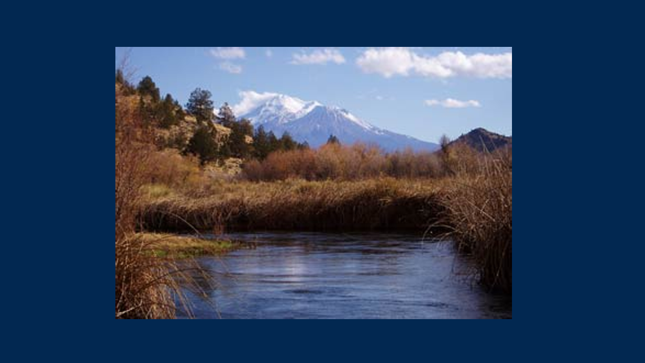 Shasta River | Center for Watershed Sciences