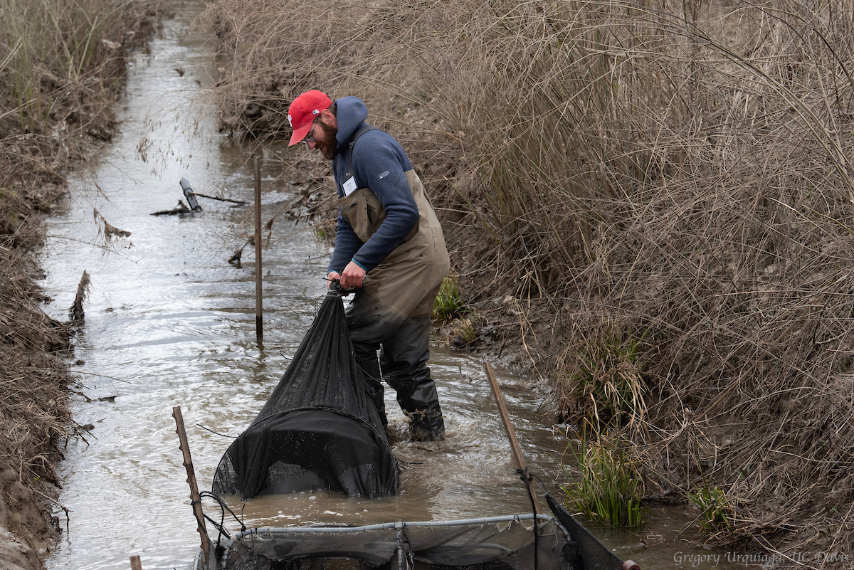 Job Opportunity – Assistant Specialist (Closed) | Center for Watershed ...